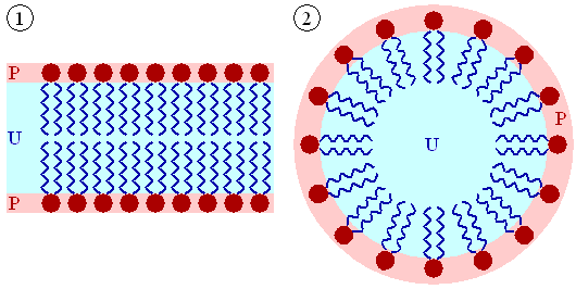 Lipit Nedir ve Lipit ve Yağların Farkları?: Hilal Öztürk Yazdı | Gidakolik
